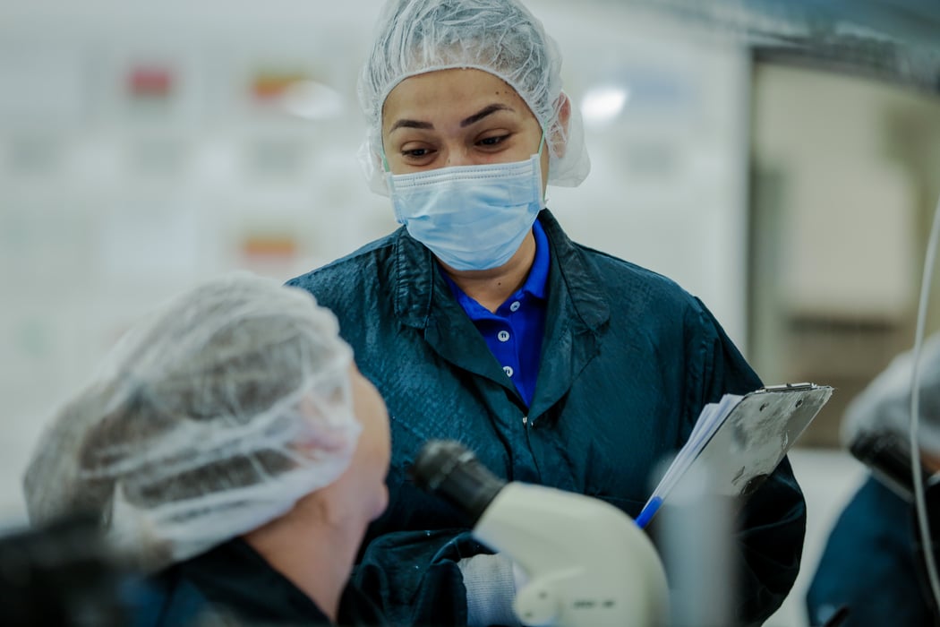 Manufacturing in Mexico: Everything You Need to Know About Mexico ...